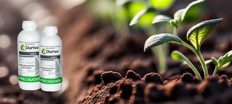 Catálogo insumos agrícolas I Verqor