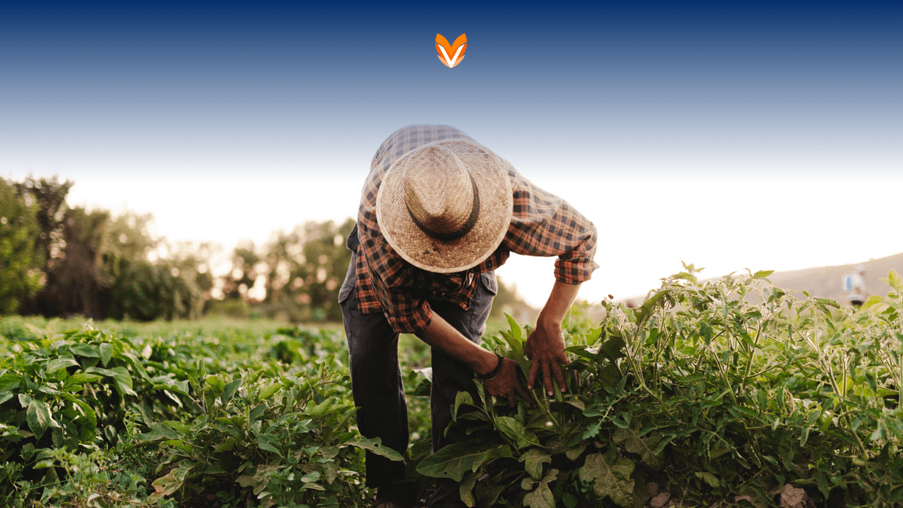 Financiamiento agro para tus insumos y maquinaria | Verqor